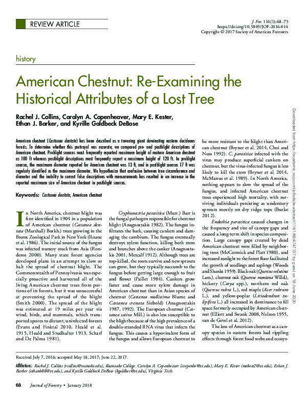 (PDF) American Chestnut: Re-Examining the Historical Attributes of a ...