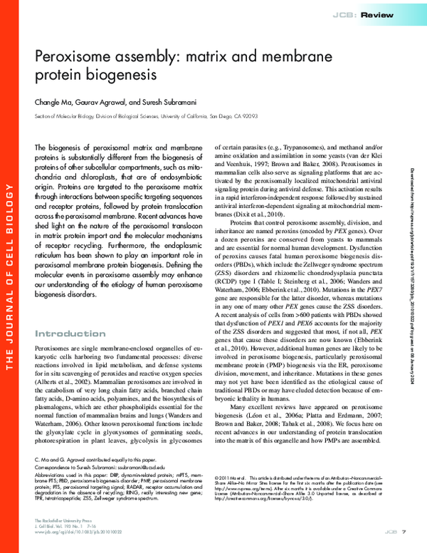 (PDF) Peroxisome assembly: matrix and membrane protein biogenesis ...