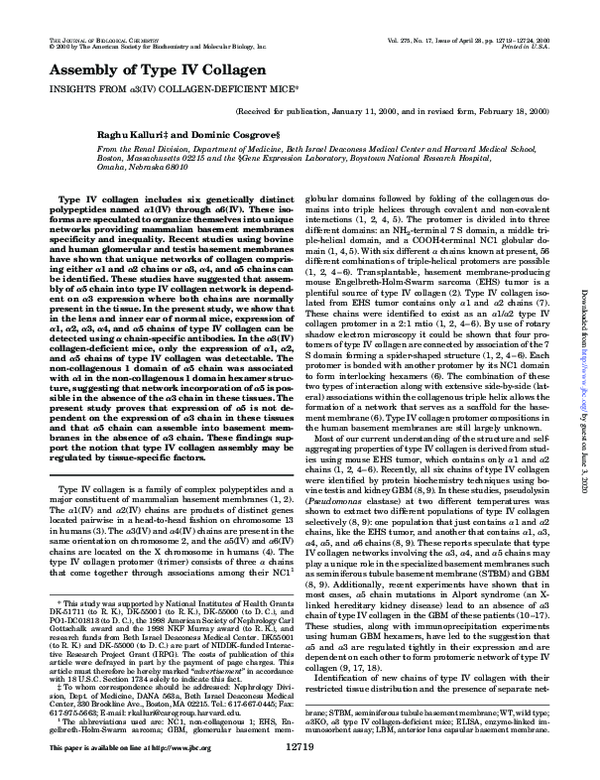 (PDF) Assembly of Type IV Collagen
