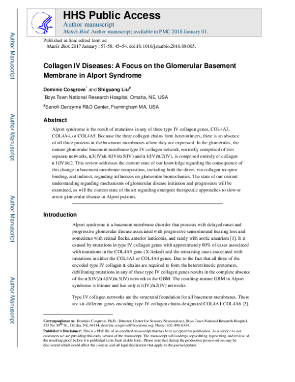 (PDF) Collagen IV diseases: A focus on the glomerular basement membrane ...