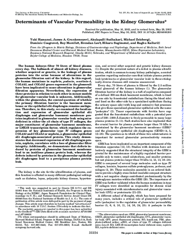 (PDF) Vascular Permeability in Kidney Glomerulus
