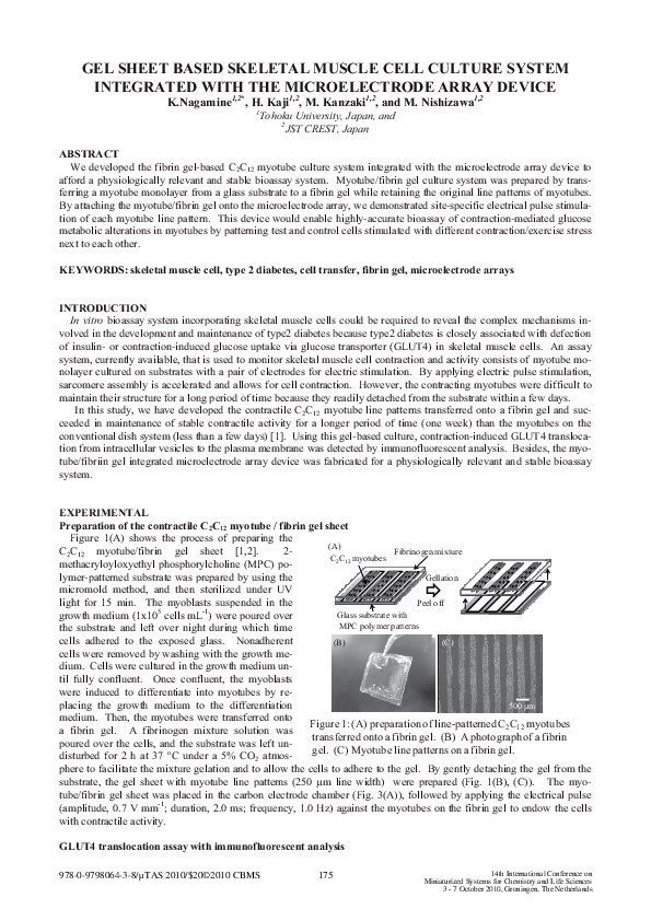 (PDF) Gel Sheet Based Skeletal Muscle Cell Culture System Integrated ...