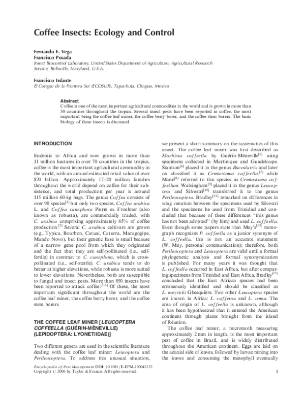 (PDF) Coffee insects: Ecology and control