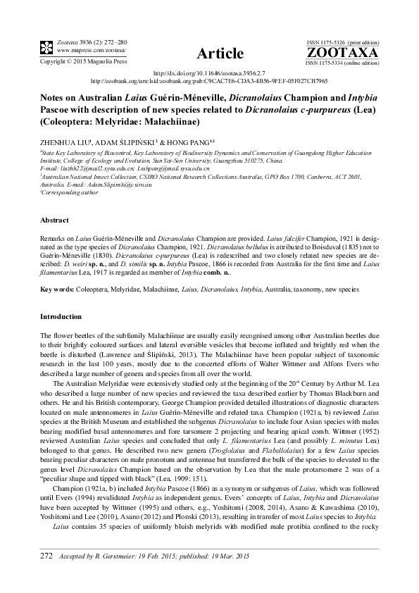(PDF) Notes on Australian Laius Guérin-Méneville, Dicranolaius Champion ...