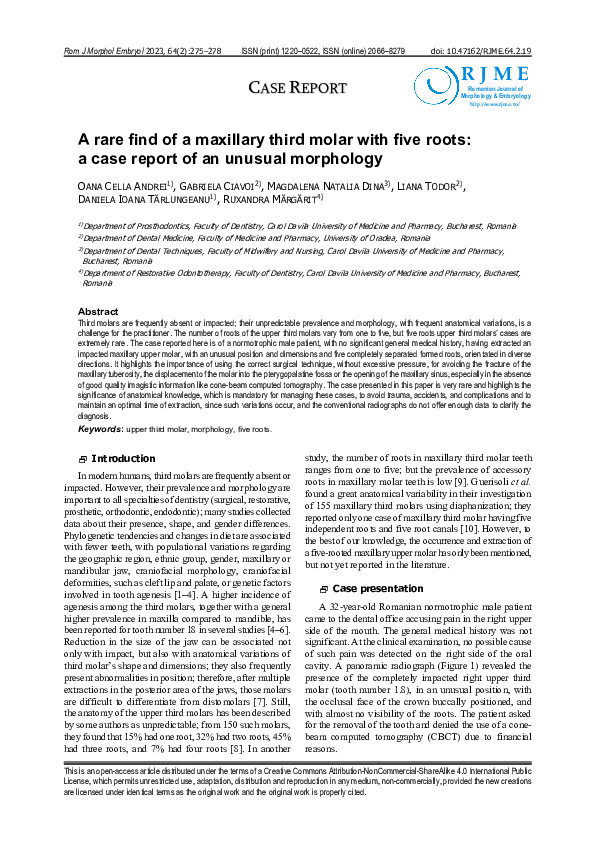 (PDF) A rare find of a maxillary third molar with five roots: a case ...