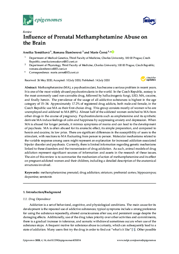 (PDF) Influence of Prenatal Methamphetamine Abuse on the Brain