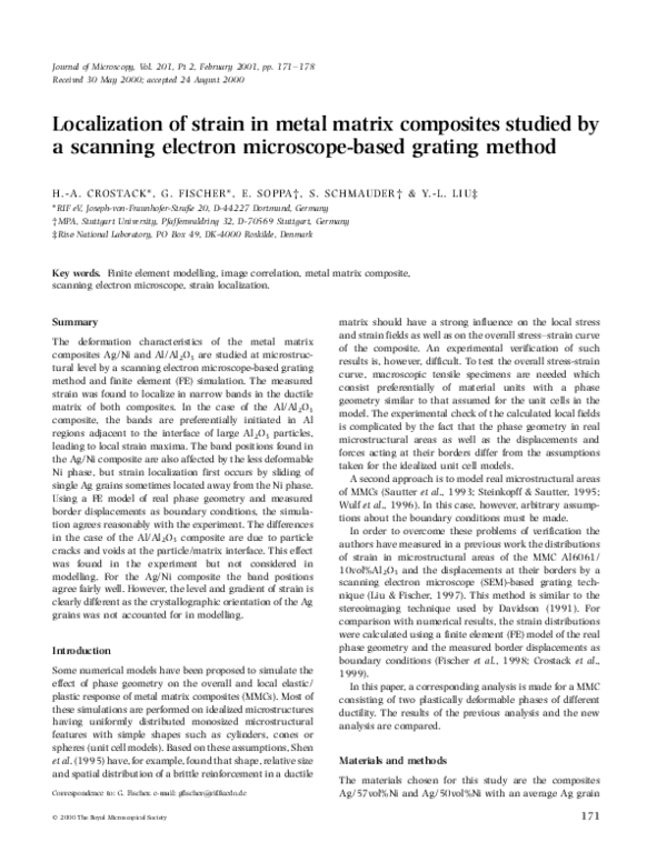 (PDF) Localization of strain in metal matrix composites studied by a ...