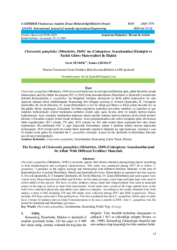 (PDF) Cheironitis pamphilus (Ménétriés, 1849)’ un (Coleoptera ...