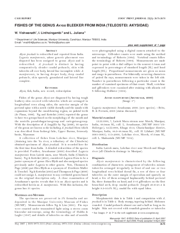 (PDF) Fishes of the Genus Akysis Bleeker from India (Teleostei: Akysidae)