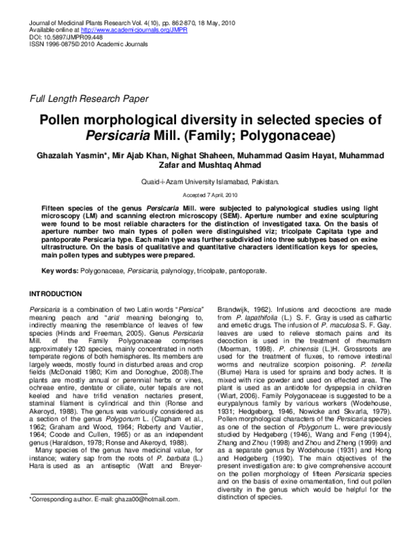 (PDF) Pollen morphological diversity in selected species of Persicaria ...