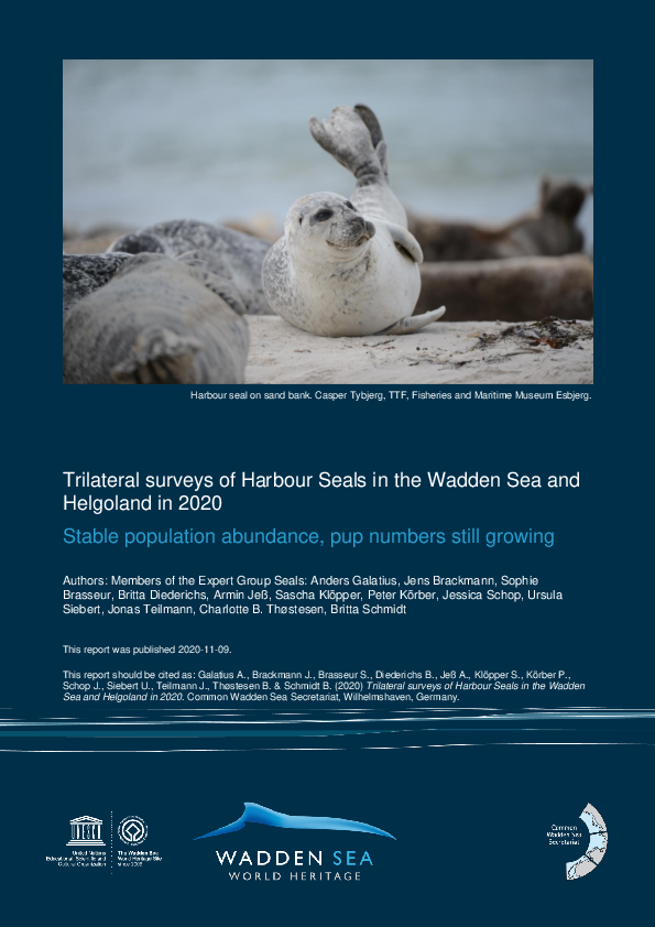 (PDF) 2020 Harbour seal report: Trilateral surveys of Harbour Seals in ...