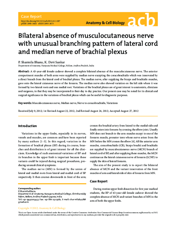 (PDF) Bilateral absence of musculocutaneous nerve with unusual ...