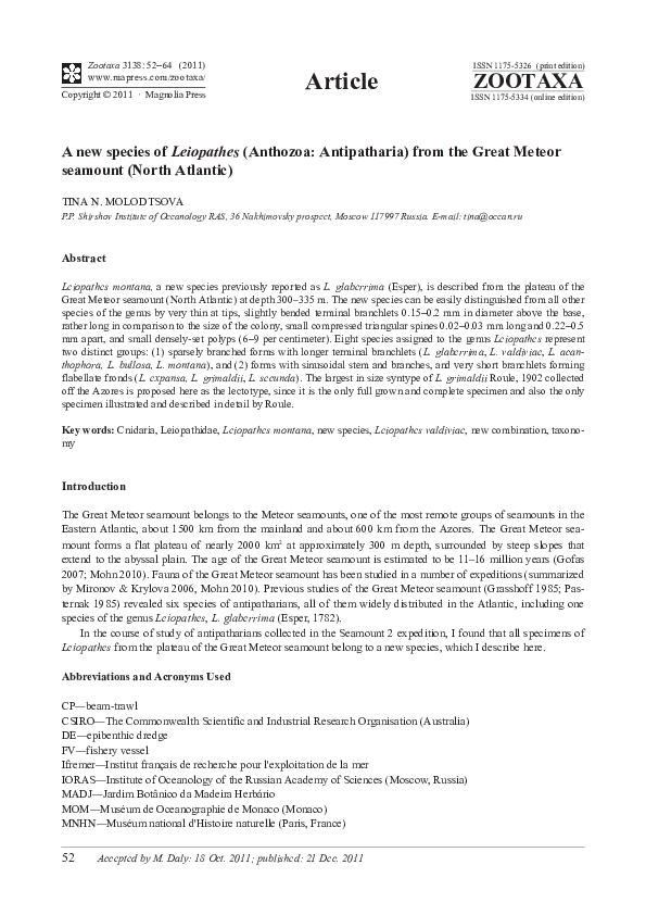 (PDF) A new species of Leiopathes (Anthozoa: Antipatharia) from the ...