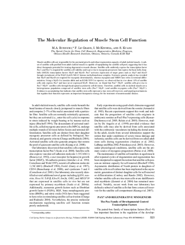 (PDF) The Molecular Regulation of Muscle Stem Cell Function