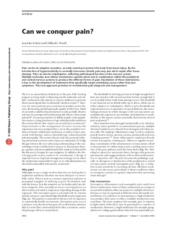 (PDF) Can we conquer pain?