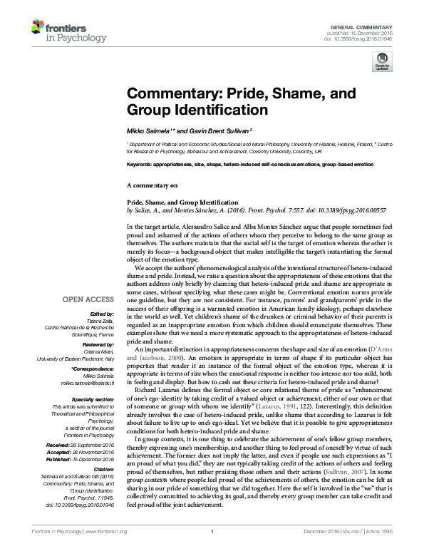 (PDF) Pride and Shame in Group Dynamics