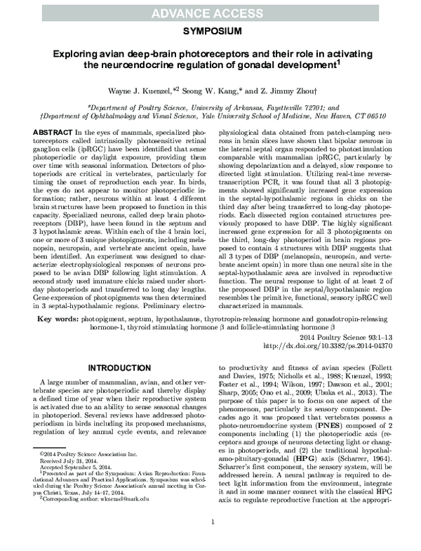 (PDF) Exploring avian deep-brain photoreceptors and their role in activating the neuroendocrine ...