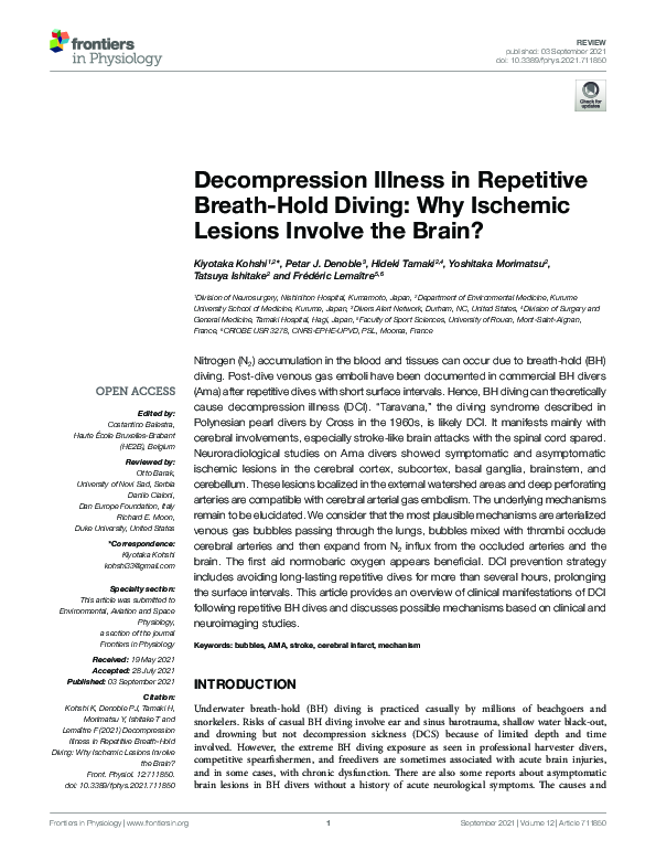 (PDF) Decompression Illness in Repetitive Breath-Hold Diving: Why Ischemic Lesions Involve the ...