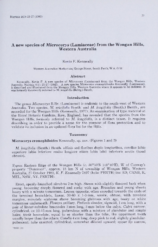 (PDF) A new species of Microcorys (Lamiaceae) from the Wongan Hills ...