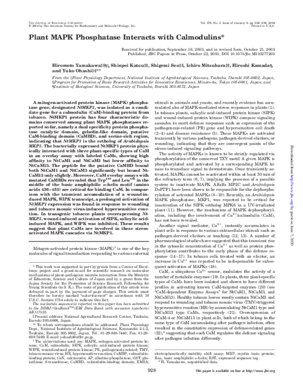 (PDF) Plant MAPK Phosphatase Interacts with Calmodulins