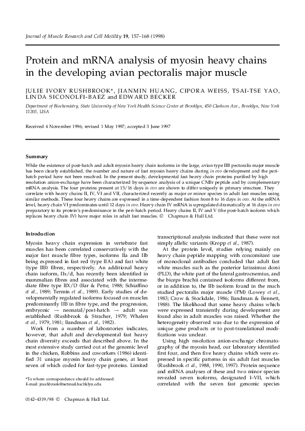(PDF) Protein and mRNA analysis of myosin heavy chains in the ...