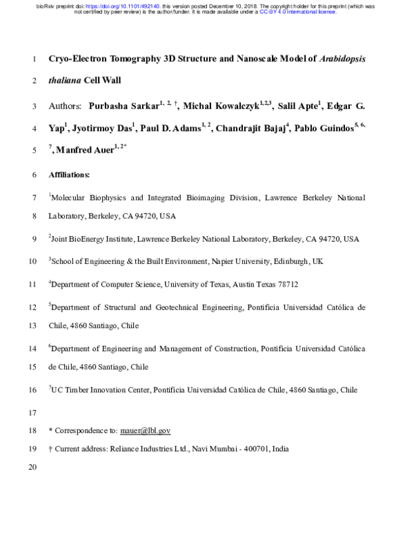 (PDF) Cryo-Electron tomography 3D structure and nanoscale model of ...