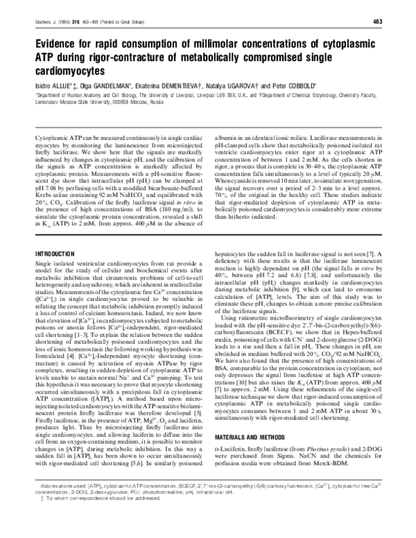 (PDF) Evidence for rapid consumption of millimolar concentrations of ...