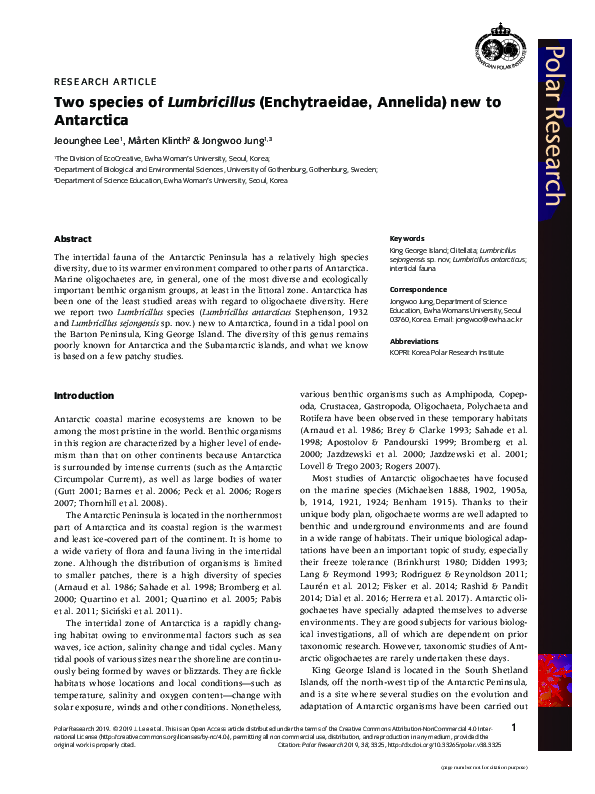 (PDF) Two species of Lumbricillus (Enchytraeidae, Annelida) new to ...