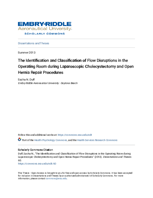 (PDF) The Identification and Classification of Flow Disruptions in the ...