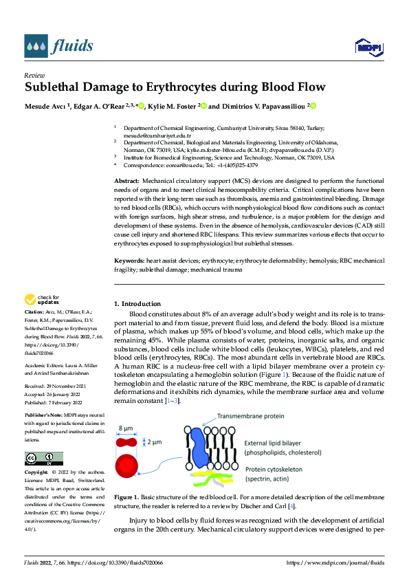(PDF) Sublethal Damage to Erythrocytes during Blood Flow