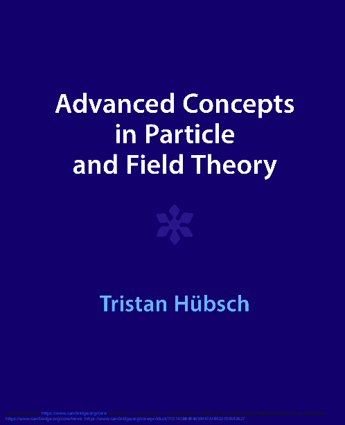 (PDF) Advanced Concepts in Particle and Field Theory