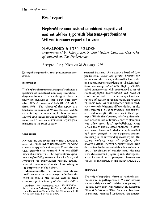 (PDF) Nephroblastomatosis of combined superficial and intralobar type ...