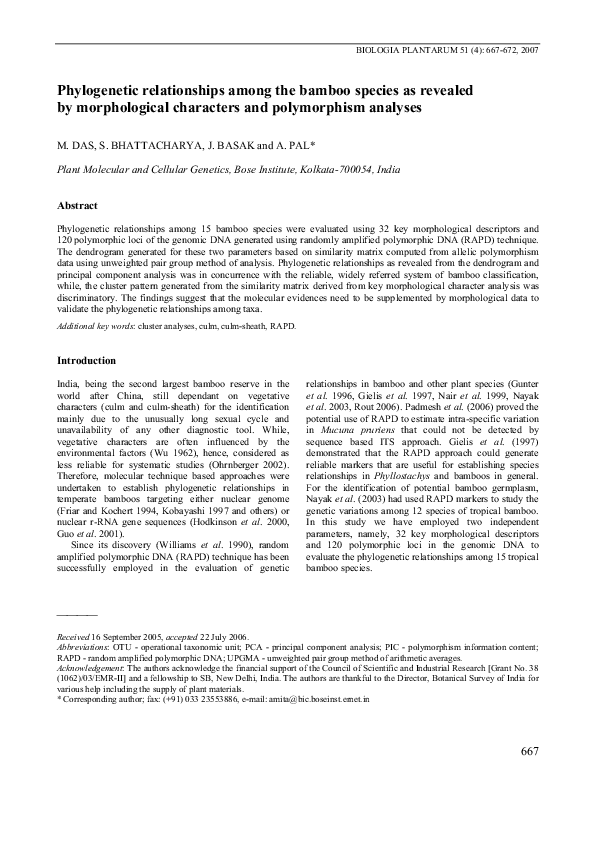(PDF) Phylogenetic relationships among the bamboo species as revealed ...