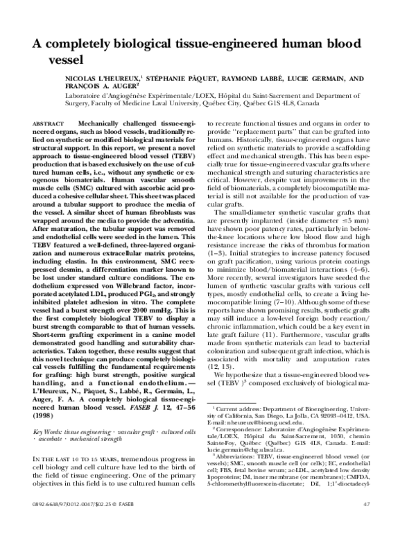 (PDF) A completely biological tissue‐engineered human blood vessel