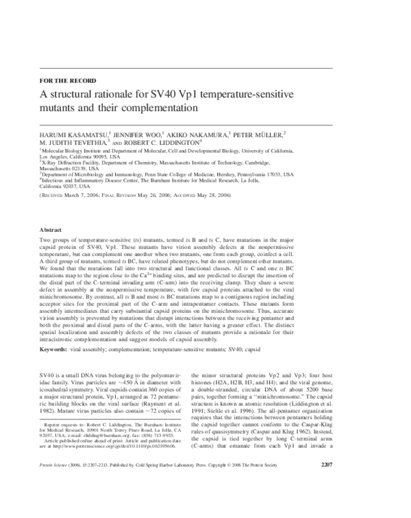 (PDF) A structural rationale for SV40 Vp1 temperature-sensitive mutants ...