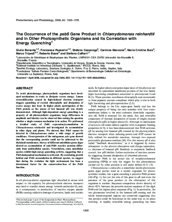 (PDF) The Occurrence of the psbS Gene Product in Chlamydomonas ...
