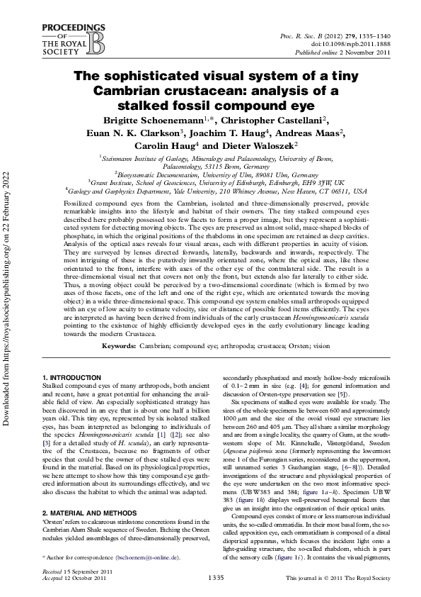 (PDF) The sophisticated visual system of a tiny Cambrian crustacean ...