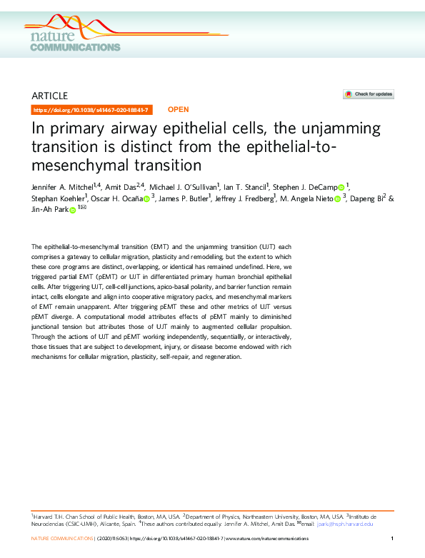 (PDF) In primary airway epithelial cells, the unjamming transition is ...