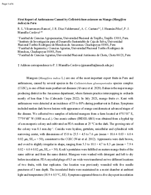 (PDF) First Report of Anthracnose Caused by Colletotrichum asianum on Mango ( Mangifera indica ...