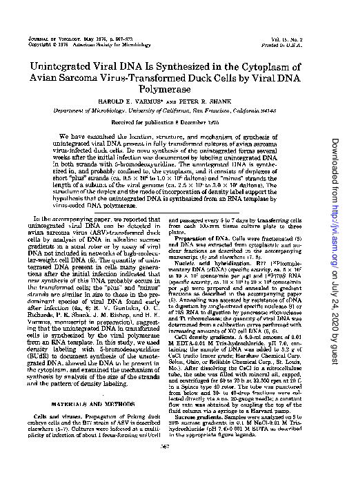 (PDF) Unintegrated viral DNA is synthesized in the cytoplasm of avian ...