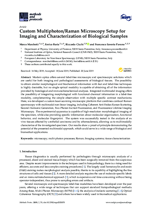 (PDF) Custom Multiphoton/Raman Microscopy Setup for Imaging and ...