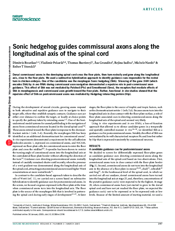 (PDF) Sonic hedgehog guides commissural axons along the longitudinal ...