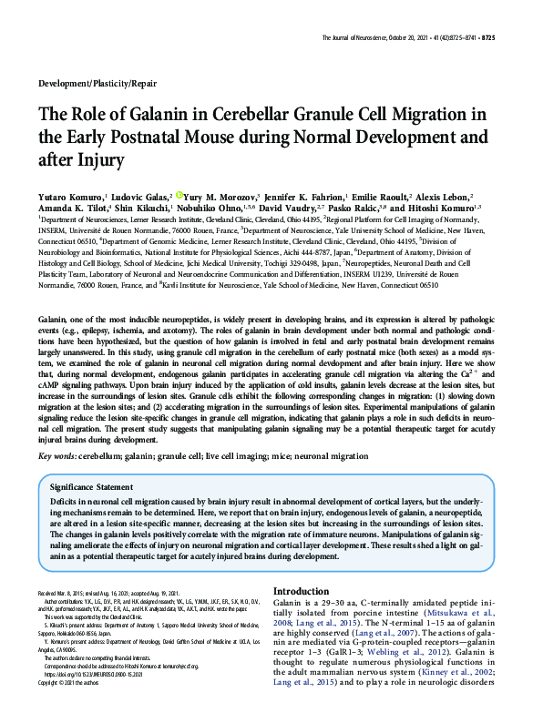 (PDF) The Role of Galanin in Cerebellar Granule Cell Migration in the ...