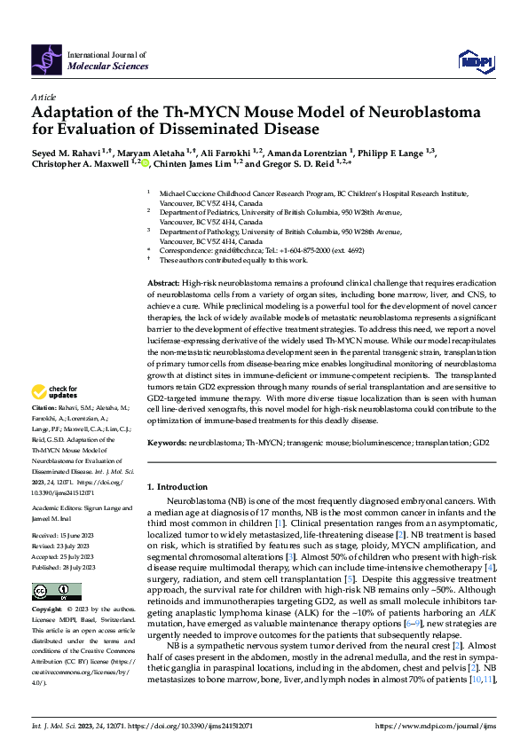 (PDF) Adaptation of the Th-MYCN Mouse Model of Neuroblastoma for ...