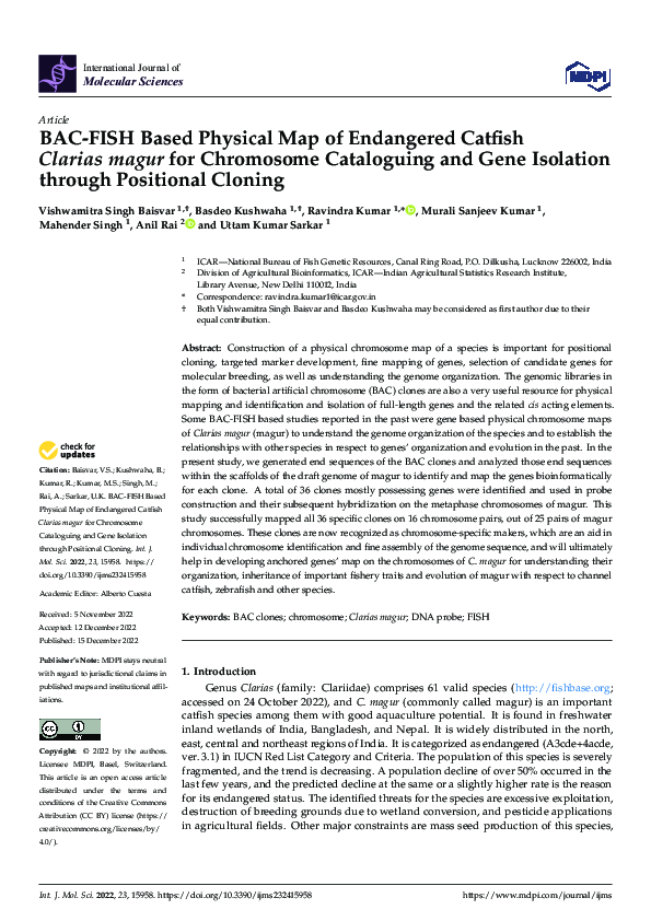 (PDF) BAC-FISH Based Physical Map of Endangered Catfish Clarias magur ...
