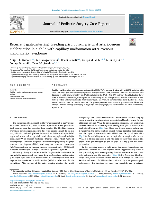 (PDF) Recurrent gastrointestinal bleeding arising from a jejunal ...
