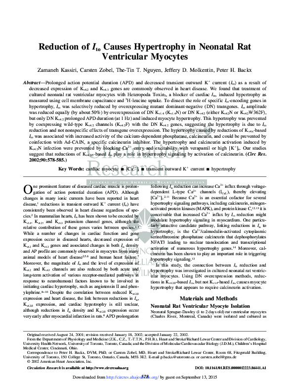 (PDF) Reduction of I to Causes Hypertrophy in Neonatal Rat Ventricular ...