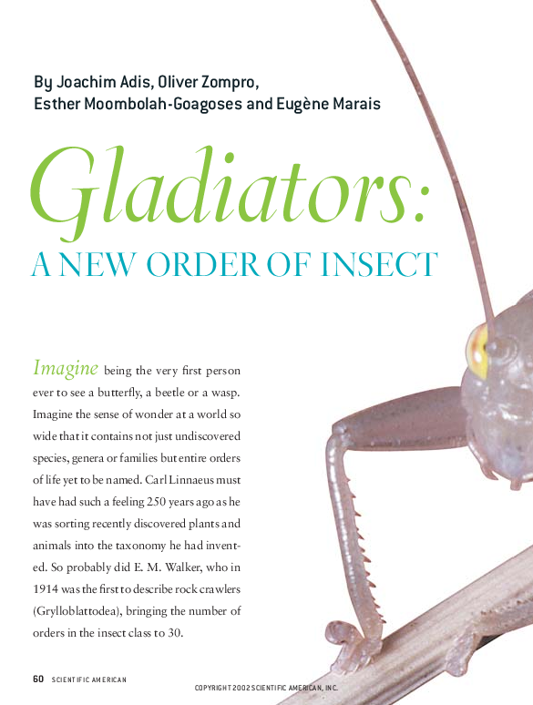(PDF) Gladiators: A New Order of Insect