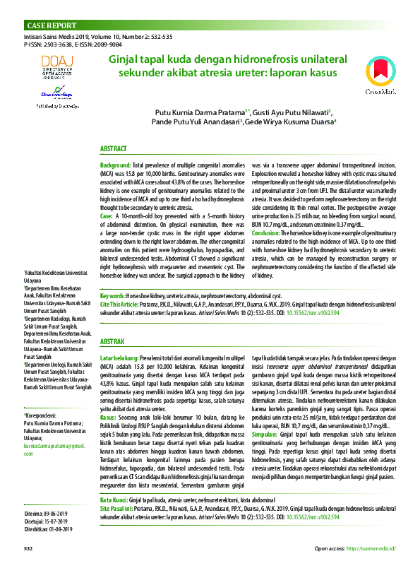 (PDF) Ginjal tapal kuda dengan hidronefrosis unilateral sekunder akibat ...