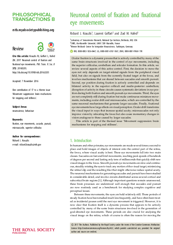 (PDF) Neuronal control of fixation and fixational eye movements